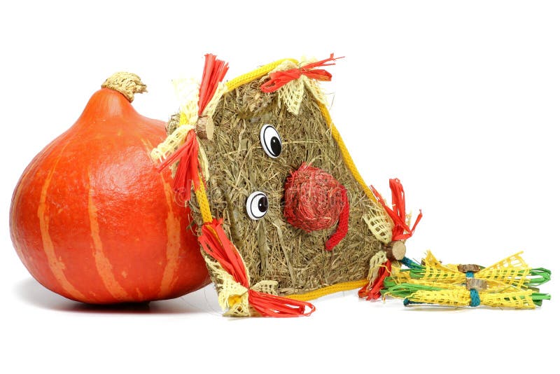 Courge rouge de kuri photo stock. Image du automnal, artisanat - 97845288