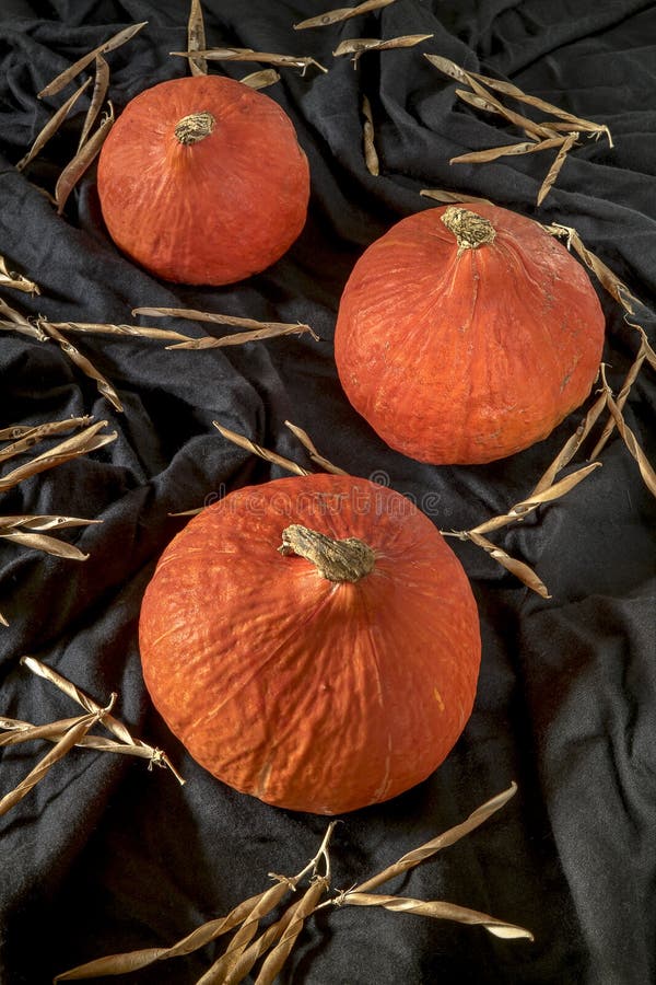 Courge rouge de kuri photo stock. Image du vente, ramassage - 26413626