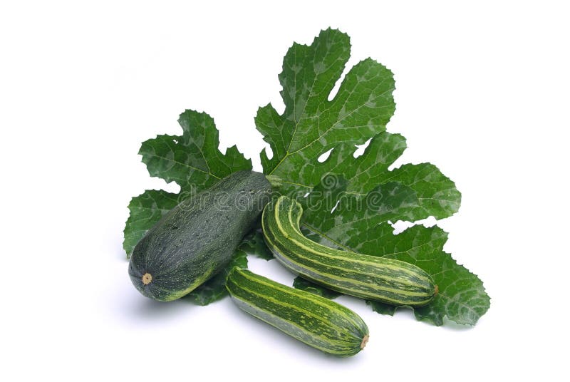 Courgette 08 stock photo. Image of green, fare, squash - 5788058