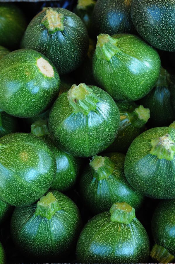 Courgette stock image. Image of zucchini, market, freshness - 14653085
