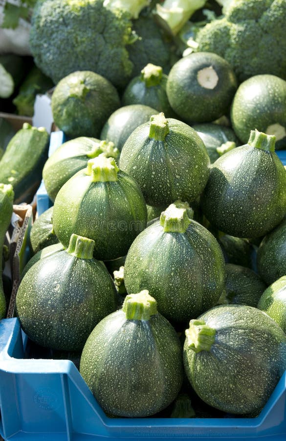 Courgette stock image. Image of natural, lifestyle, courgette - 19695935
