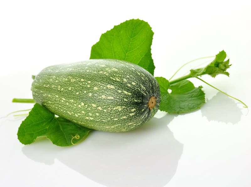 Courgette image stock. Image du délicieux, végétarien - 20408873
