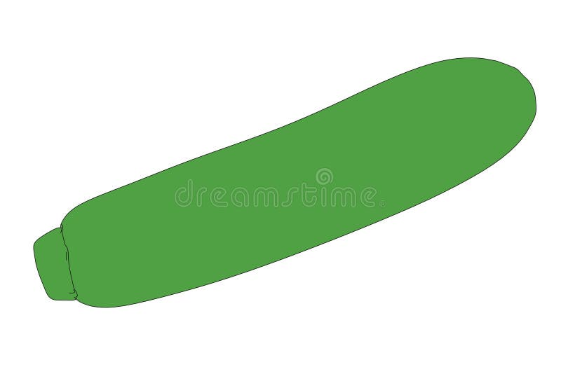 Courgette stock illustration. Illustration of food, cartoon - 91785352