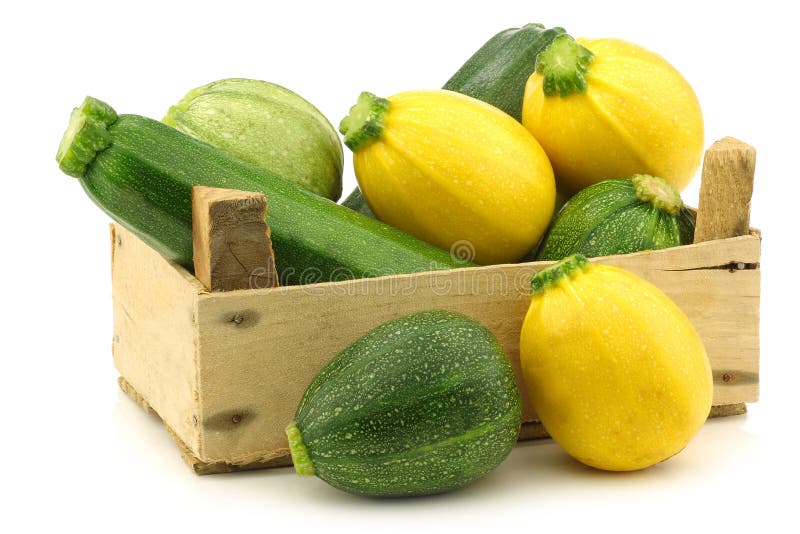 Courgette Ronde Jaune (pepo De Cucurbita) Image stock - Image du courge ...