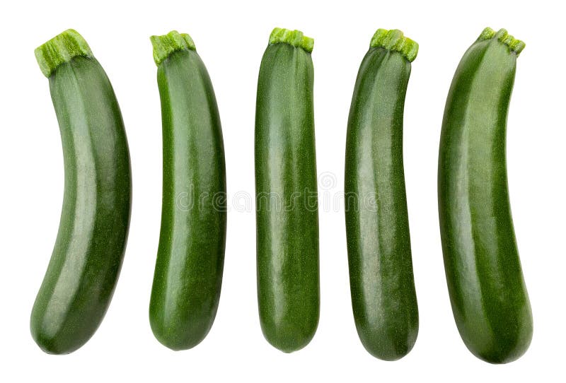 Courgette stock image. Image of long, delicious, side - 137489917