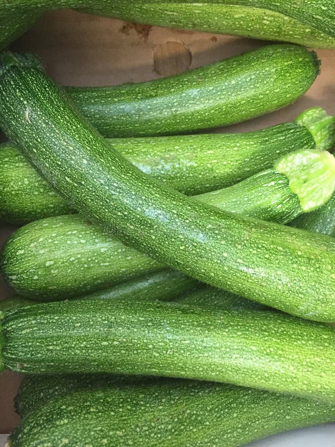 Courgette stock photo. Image of courgette, organic, vegetable - 77404638