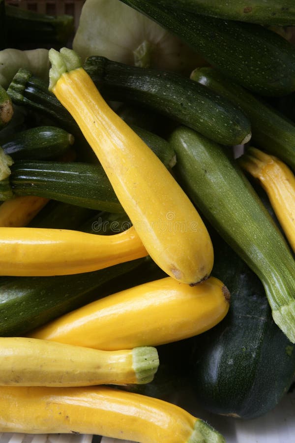 Courgette Verde E Amarelo No Mercado Imagem de Stock - Imagem de ...