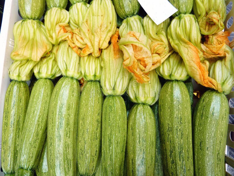 Courgettes foto de stock. Imagem de dieta, naughty, cozinhar - 13524742