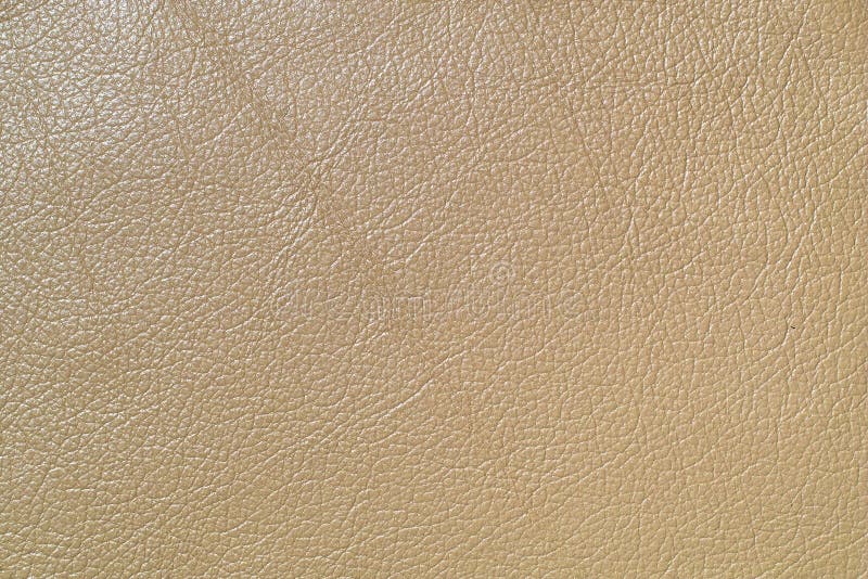 Couro bege imagem de stock. Imagem de vaca, fundo, tampa - 3595899
