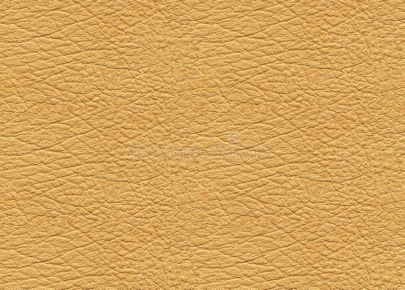 14,333 Fotos de Stock de Textura De Couro Bege - Fotos de Stock ...