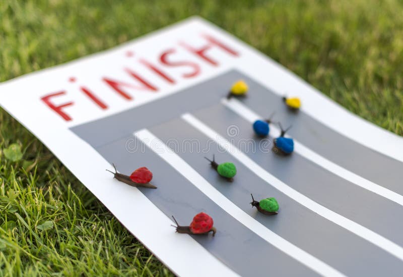 Escargot De La Course Des Grands Gris Photo stock - Image du ...