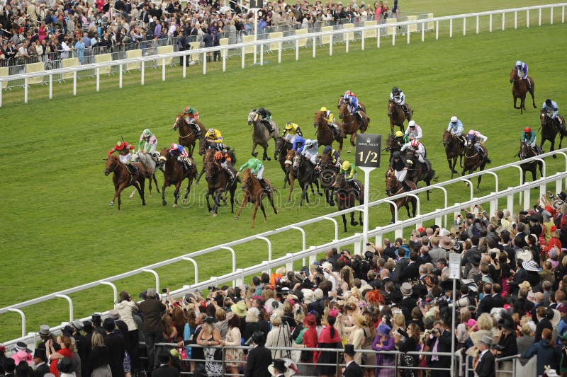 Course de chevaux image éditorial. Image du équitation - 21227495