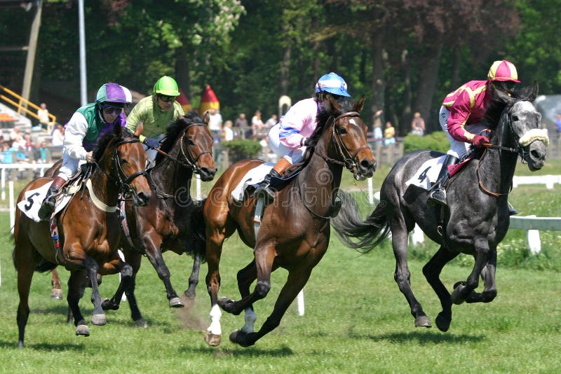 Course de chevaux photo stock. Image du hippodrome, chevaux - 2356394
