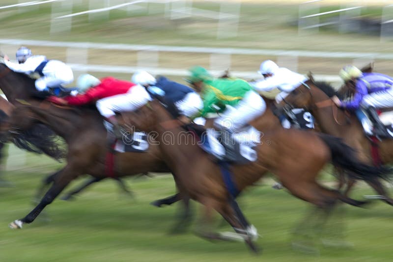 Course de chevaux stock photo. Image of galop, comp, hippiques - 881216