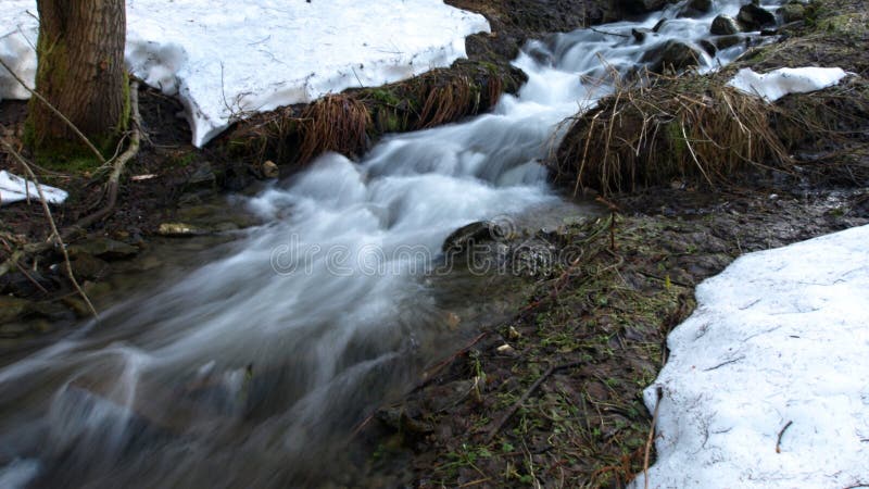 Water Flowing through a Natural Reserve Stock Photo - Image of rocks ...