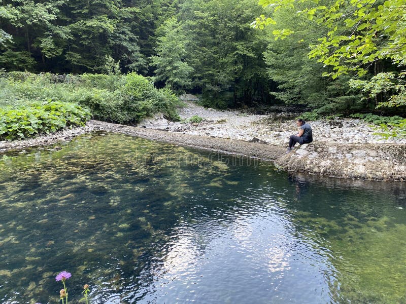The Course of the River Kupica Directly Below the Mountain Karst Spring ...