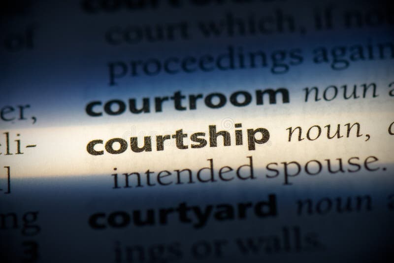 Courtship stock image. Image of waterscape, courting - 17795859