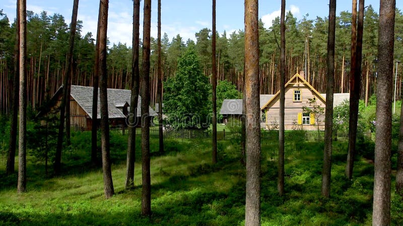 Courtyard in the Forest with Historic Buildings Stock Video - Video of ...