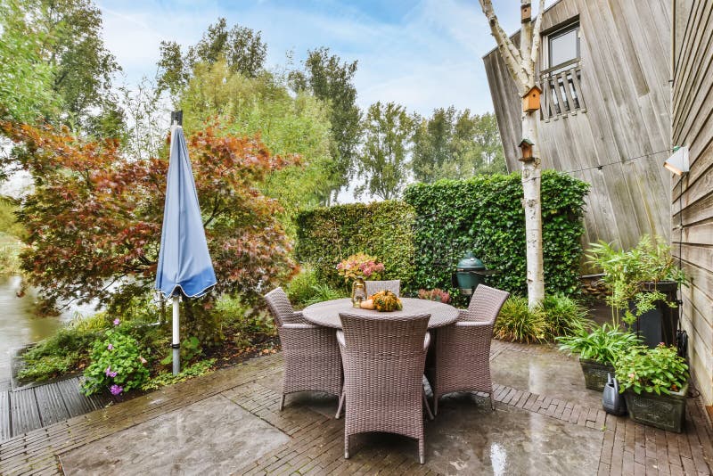 Courtyard with greenery stock image. Image of house - 236683713