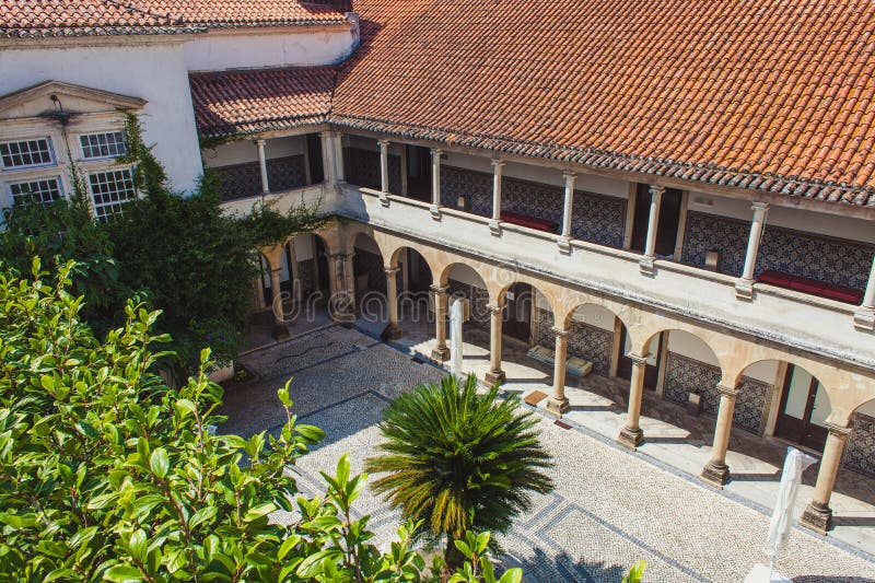 Courtyard with Palm Tree and Columns Stock Image - Image of plant ...