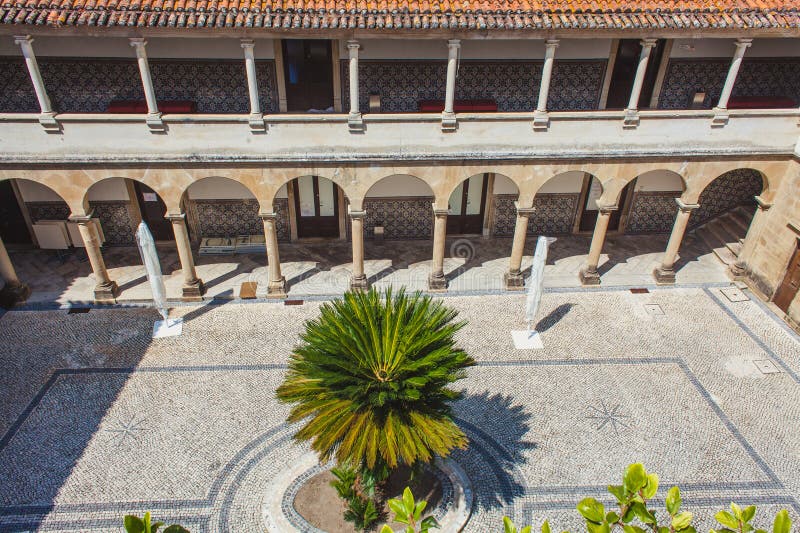 Courtyard with Palm Tree and Columns Stock Photo - Image of columns ...