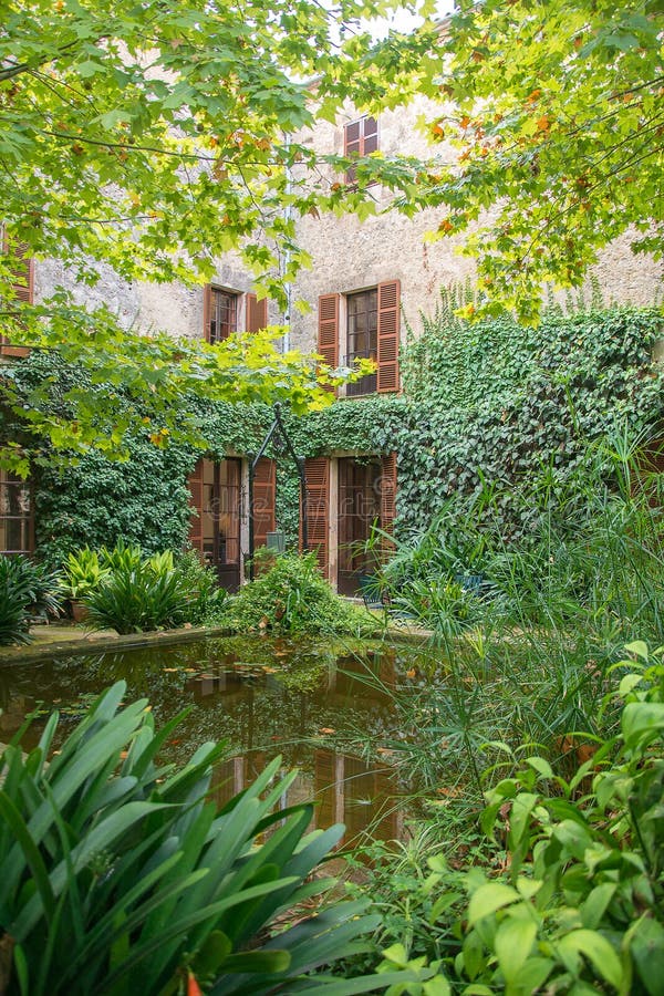 Courtyard with Pond and Trees. Stock Image - Image of green, garden ...