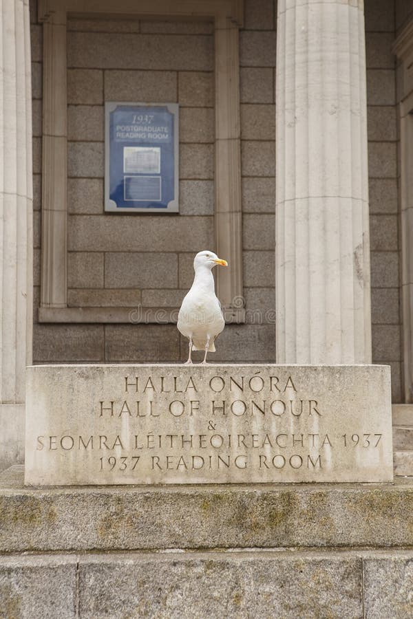 Courtyard Trinity College. Campus De La Universidad De La Trinidad Foto ...