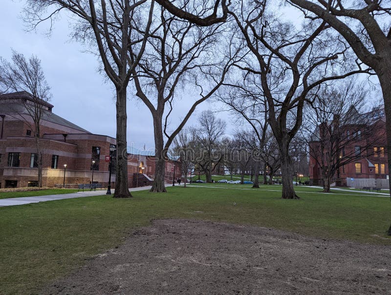 Courtyard at University Old Trees Stock Photo - Image of neighbourhood ...