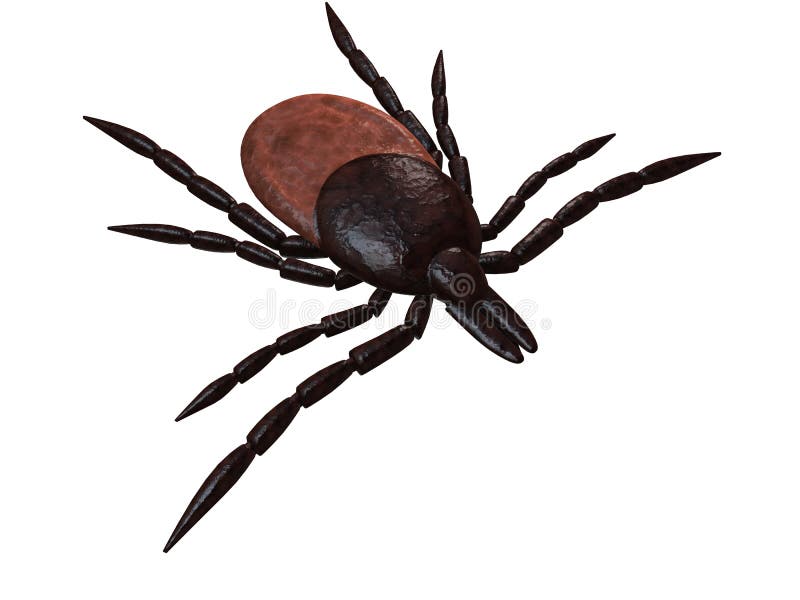 Coutil illustration stock. Illustration du dégagement - 2008247