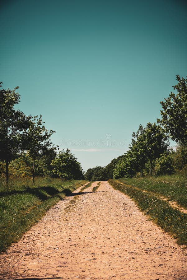 Country Road Dirt Track Lined with Trees on a Hot Summer Day Stock ...