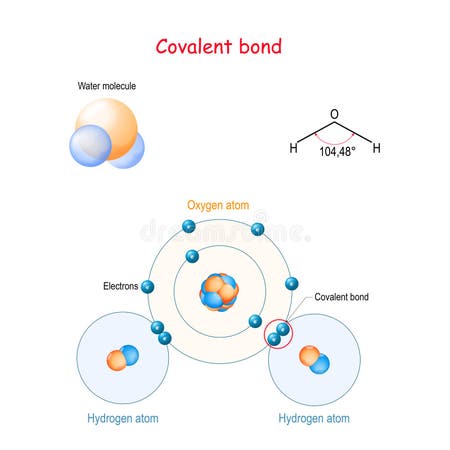 Covalent Bond for Example Heavy Water Molecule H2O Stock Vector ...