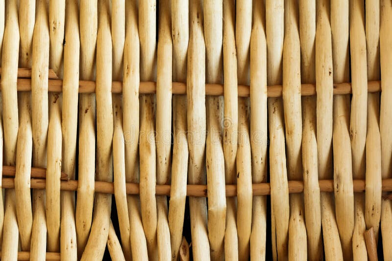 Cover from a bamboo stock photo. Image of tree, bamboo - 116076374