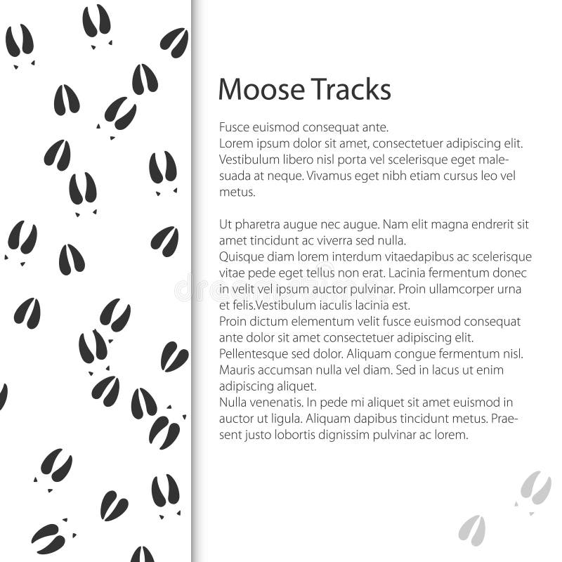 Cover Design with Traces of Forest Animal Stock Vector - Illustration ...