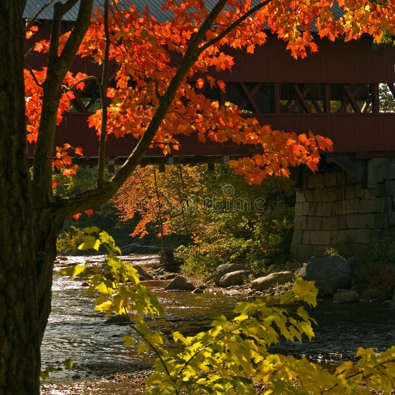 Covered Bridge stock image. Image of landmark, fall, foliage - 6892591