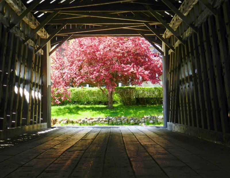 Covered Bridge stock photo. Image of planks, beams, ride - 49532036