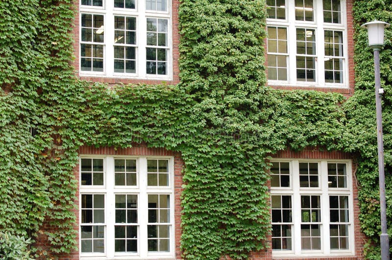 Covered Building stock photo. Image of building, college - 1332362