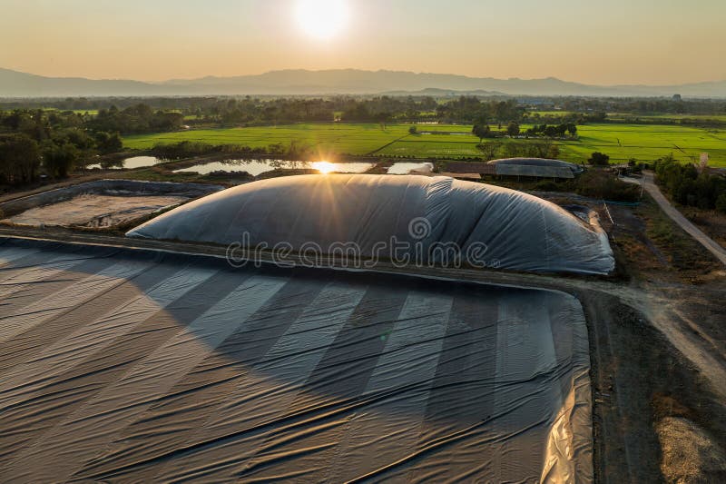 Covered Lagoon Digester for Biogas Production from Poultry Farm Stock ...