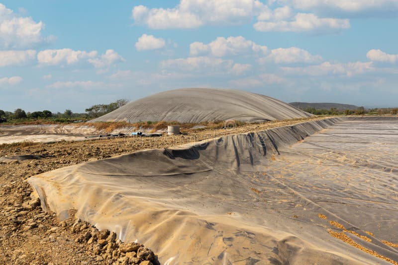 Covered Lagoon Digester for Biogas Production from Poultry Farm Stock ...