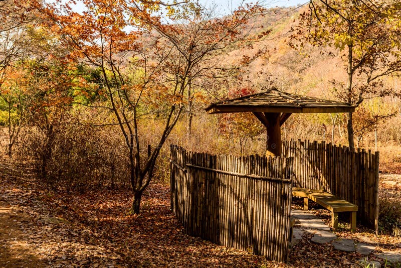 Covered Park Benches Behind Bamboo Walls Stock Photo - Image of ...