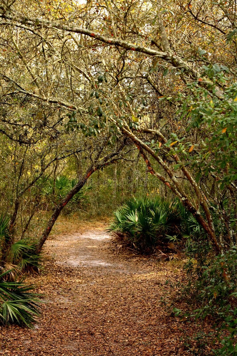 390 Covered Environmental Pathway Stock Photos - Free & Royalty-Free ...