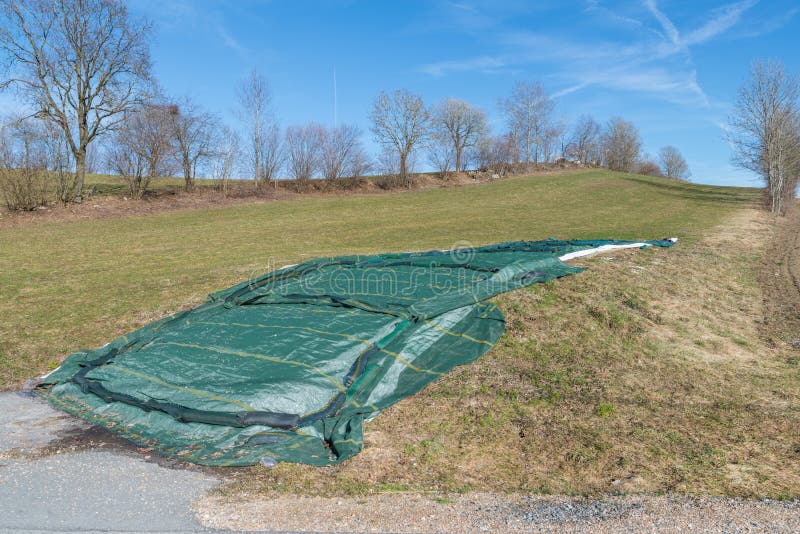 Covered Silo with Silage in Spring, Germany Stock Photo - Image of cows ...