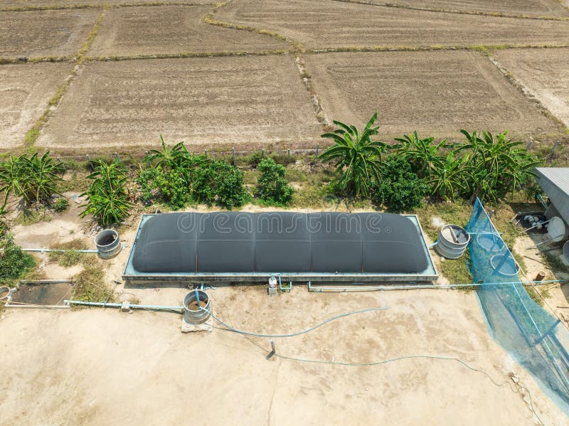 Covered Small Lagoon Digester for Biogas Production from Pig Farm Stock ...
