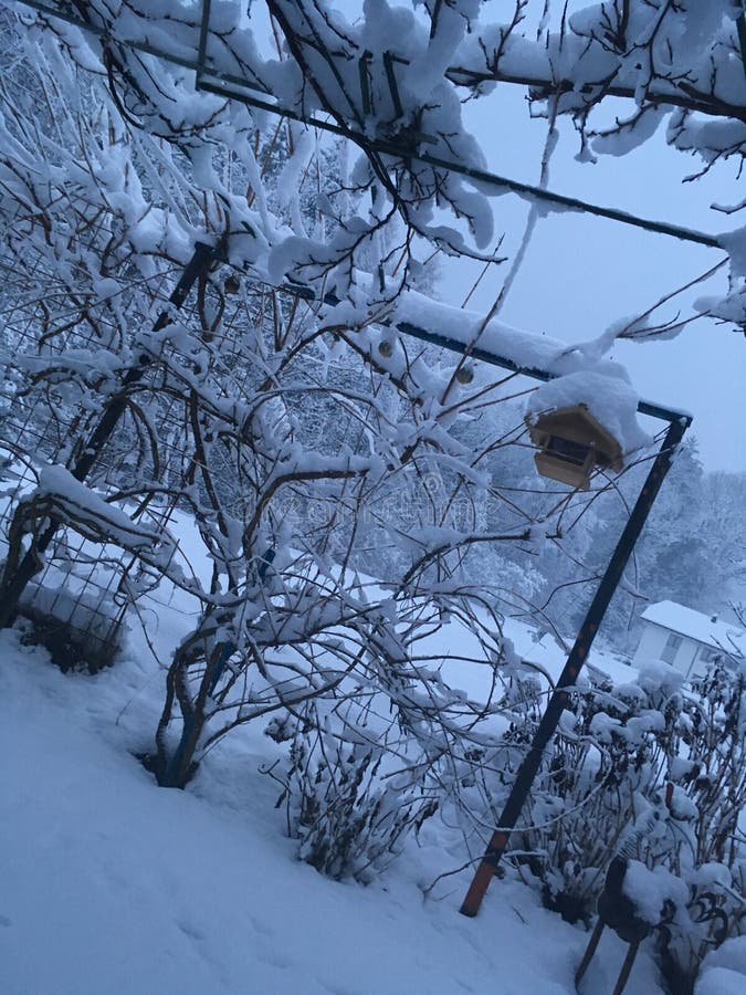 Snowy backyard stock image. Image of snowy, covered - 148451483