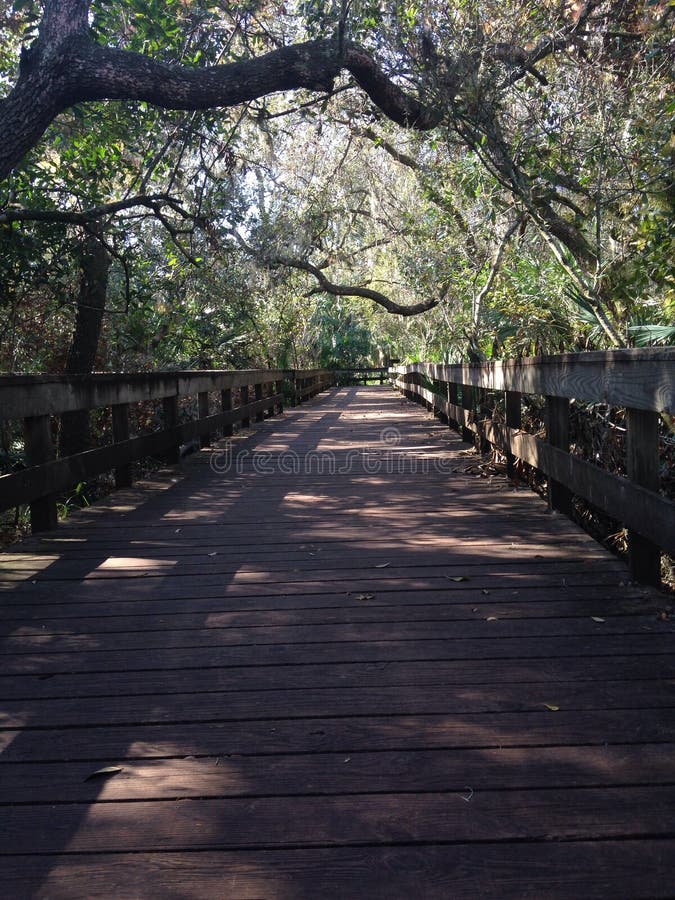 Covered stock image. Image of canopy, boardwalk, tree - 83613529