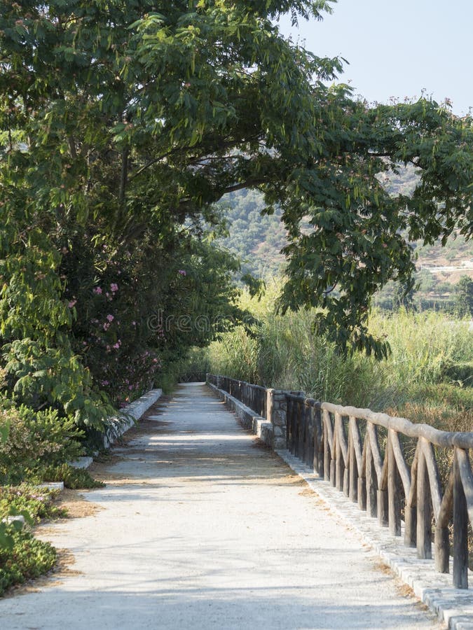 Covered Walkway stock image. Image of walking, branches - 94819163