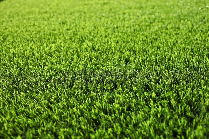 Artificial Green Grass Texture Background Side View. Stock Photo ...