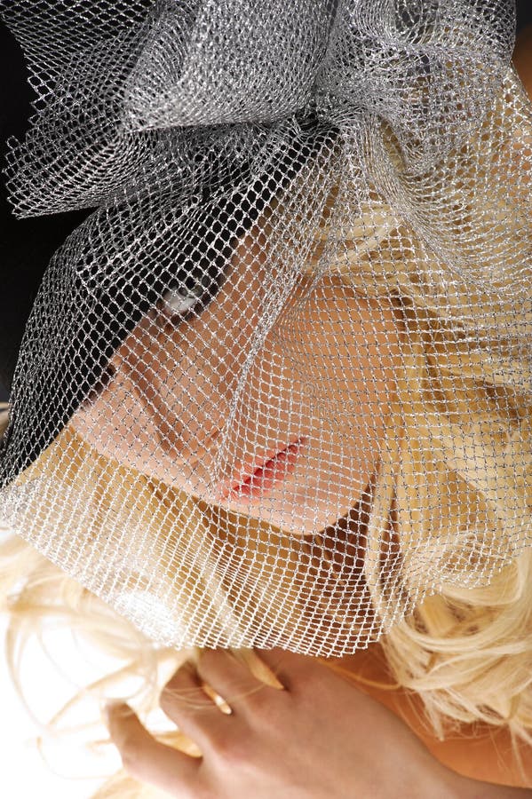 Covering Face with Silver Net Stock Photo - Image of black, luxury ...