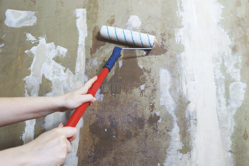 Covering the Plasterboard Wall with a Primer Using a Roller Stock Image ...