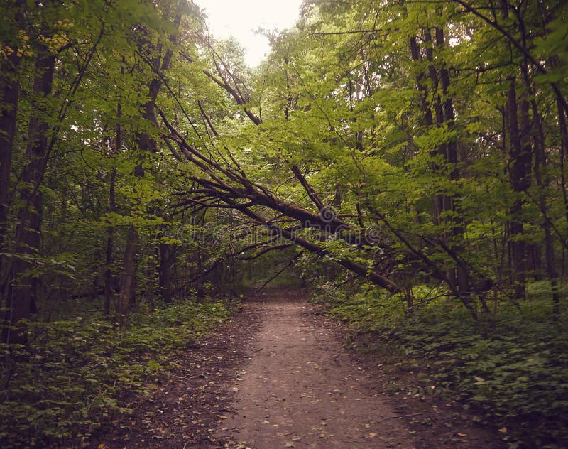 Covert stock image. Image of europe, outdoors, ground - 83358955