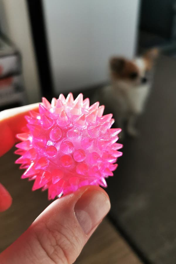 Covid 19 plastic model stock photo. Image of carrying - 186032458